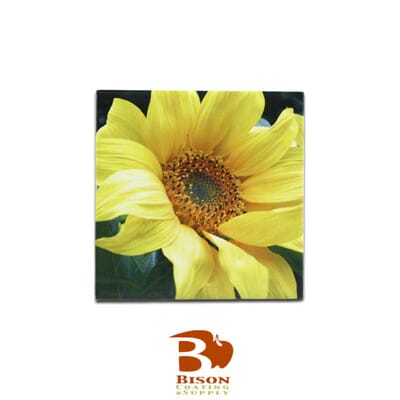 12" X 12" Bison Ceramic Tile - Elso Graphics
